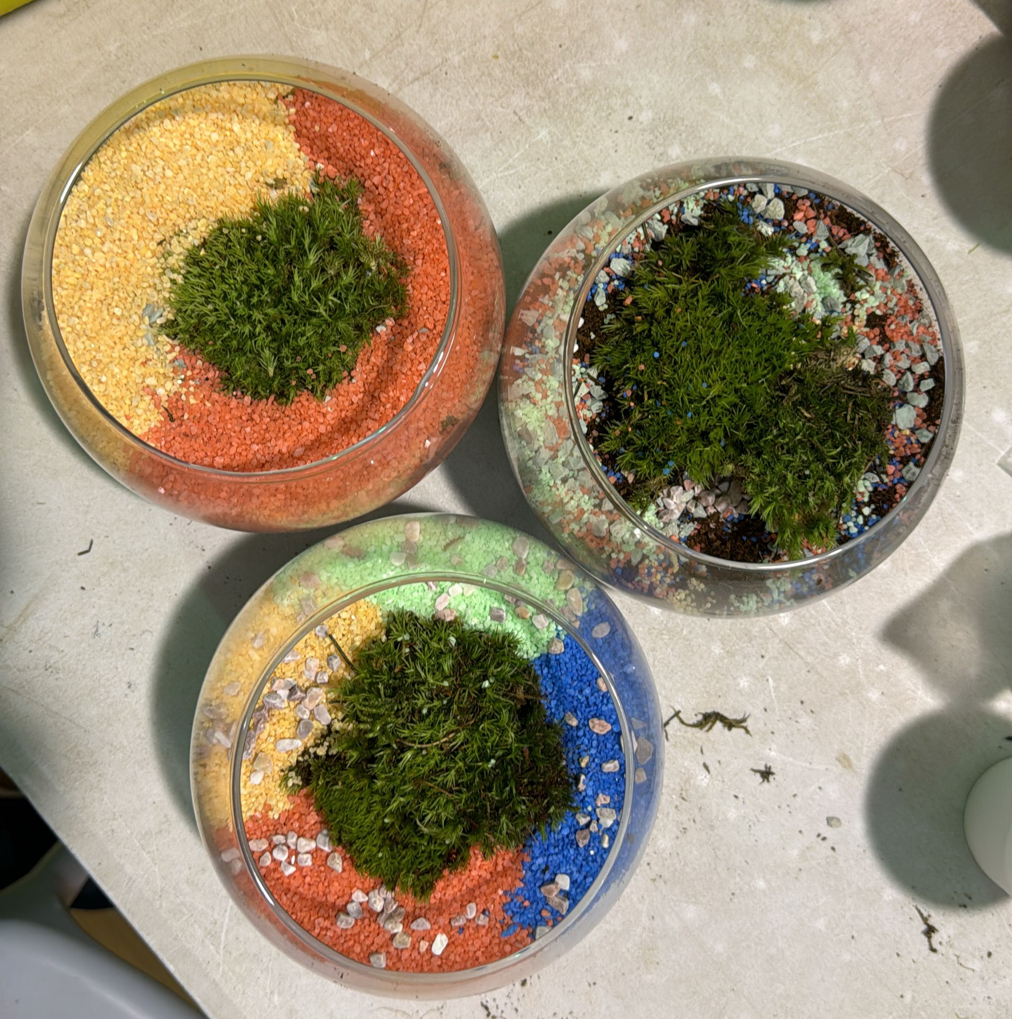 SWA event | City Sprouts' Mid-Year Outing Programme